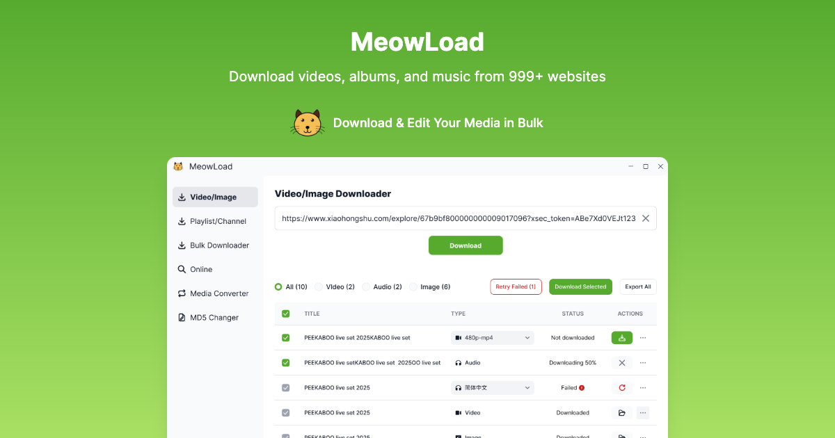 Bulk Media Downloader - Download Videos and Pictures in Bulk from ...